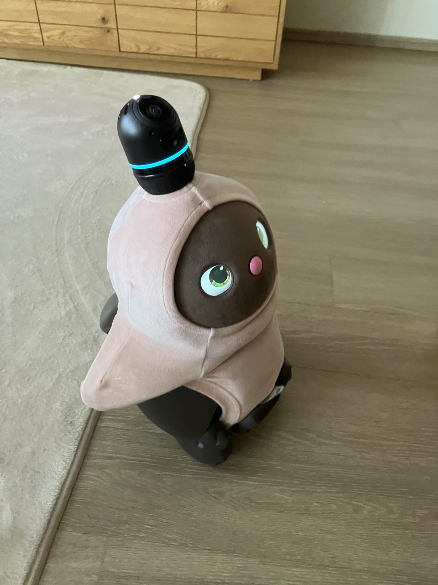 Lovotのセンサーホーンの色が変わるけど何が言いたい？よく見るやつだけまとめてみました | Lovot blog ~もいチャンネル~